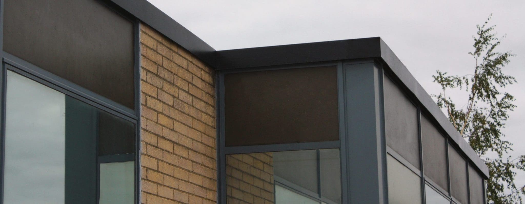 The Roof Trim You Can Fit Without Scaffolding | Ryno Blog